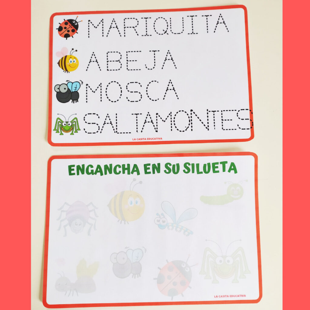Insectos - La Casita Educativa