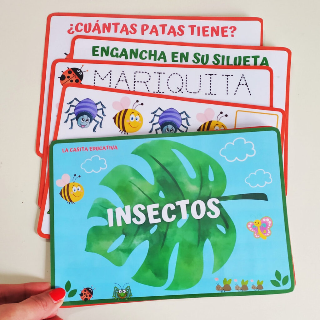 Insectos - La Casita Educativa